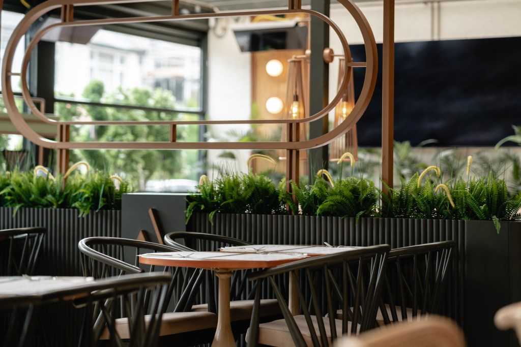 Experience a Full Day at Alicis - Alicis